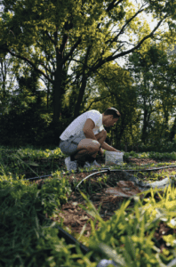 Phood Farm – Urban Care Farm & Community Farm in Eindhoven