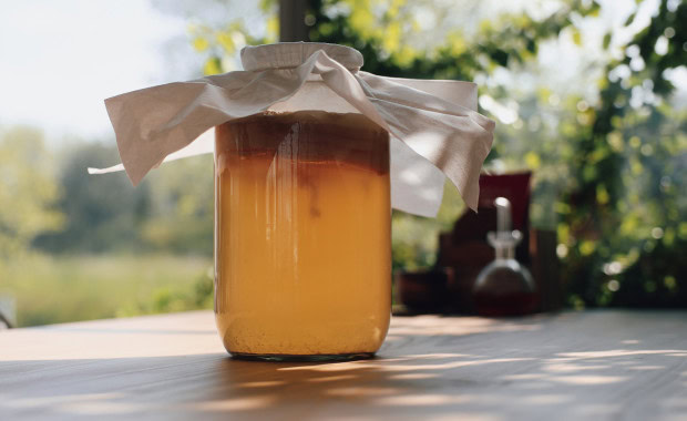 Phood Farm – Urban Care Farm & Community Farm in Eindhoven