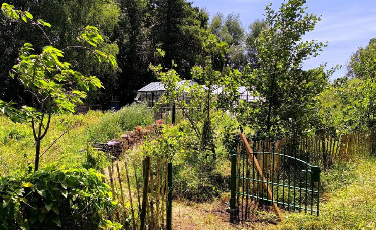 Phood Farm – Urban Care Farm & Community Farm in Eindhoven